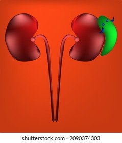 532 Internal parasites Images, Stock Photos & Vectors | Shutterstock