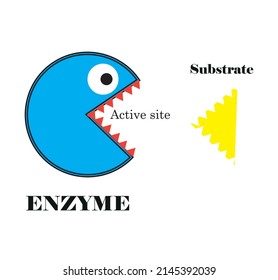 1,515 Enzyme symbol Images, Stock Photos & Vectors | Shutterstock