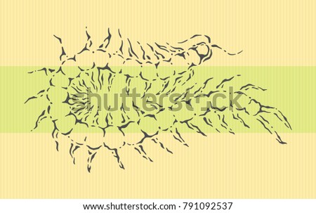 Scolopendra Vector Illustration Stock Vector (Royalty Free) 791092537 ...
