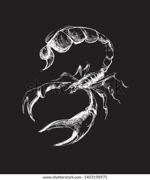 Scorpio Big Sting Claws White On Stock Vector (Royalty Free) 1403198975 ...
