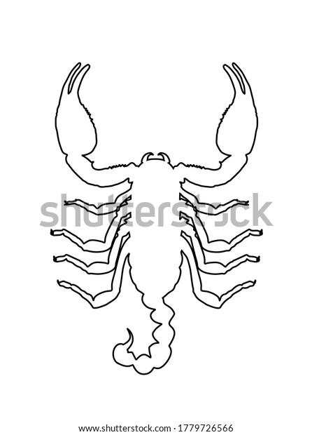 Scorpion Vector Line Contour Illustration Isolated Stock Vector ...