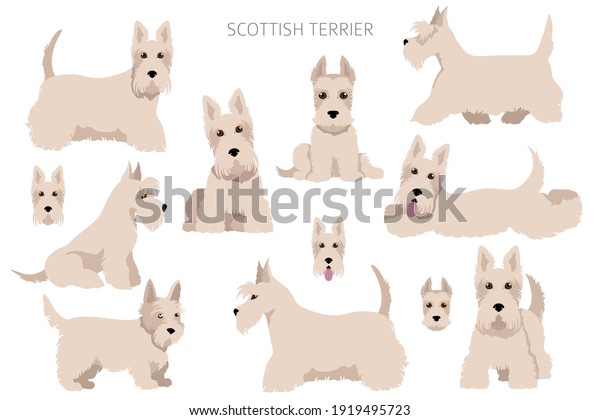520 Scottie Dog Stock Vectors, Images & Vector Art | Shutterstock