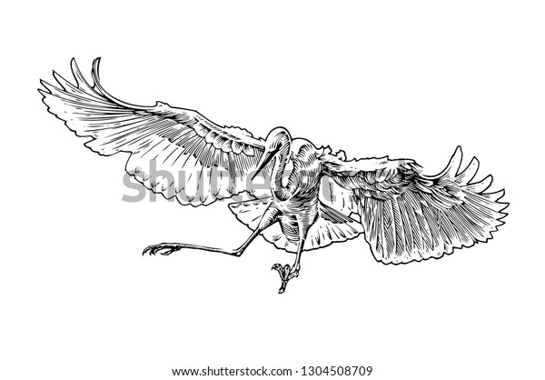 Scratch Board Illustration Bird Stock Vector (Royalty Free) 1304508709 ...