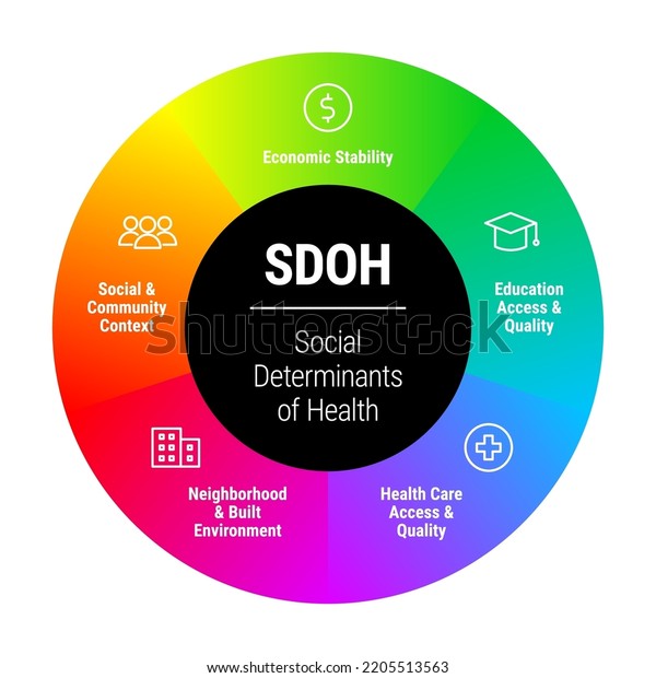 Sdoh Social Determinants Health Vector Infographic 库存矢量图（免版税）2205513563 ...