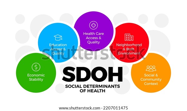 Sdoh Social Determinants Health Vector Infographic: stockvector ...