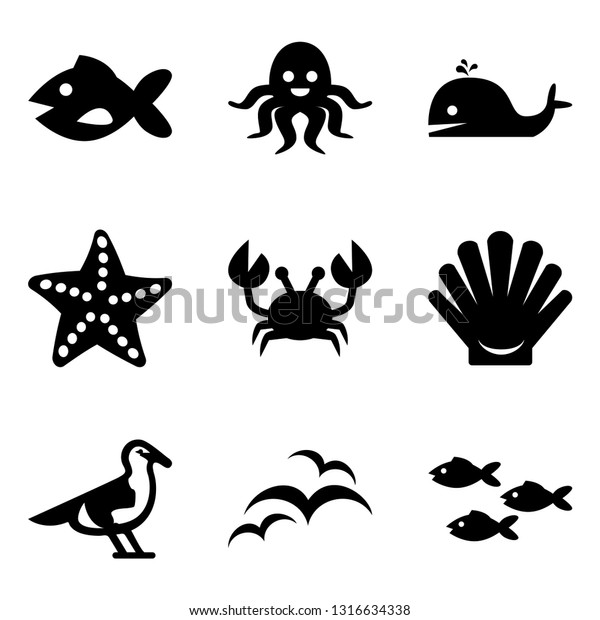 Sea Animals Beach Seagulls Stock Vector (Royalty Free) 1316634338 ...