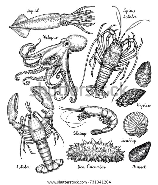 Sea Animals Big Set Ink Sketch Stock Vector (Royalty Free) 731041204 ...