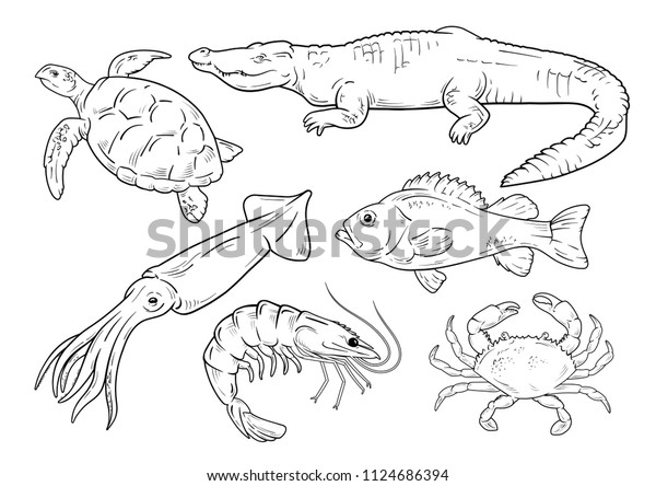 Sea Animals Line Set On White: เวกเตอร์สต็อก (ปลอดค่าลิขสิทธิ์ ...