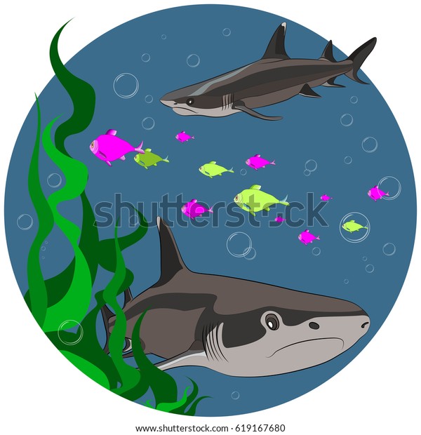 Sea Circle Sharks Flock Fish Vector Stock Vector (Royalty Free ...