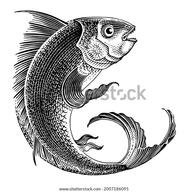 Sea Fish Jumping Hand Draw Vintage Stock Vector (Royalty Free ...