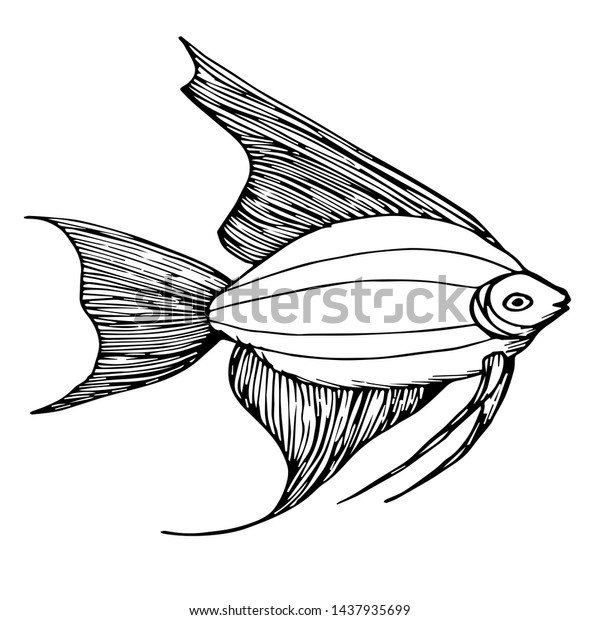 Sea Fish Sketch Background Design Vector Stock Vector (Royalty Free ...
