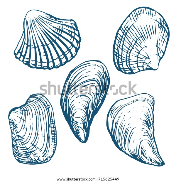 Sea Shell Oyster Mussel Set Ink Stock Vector (Royalty Free) 715625449