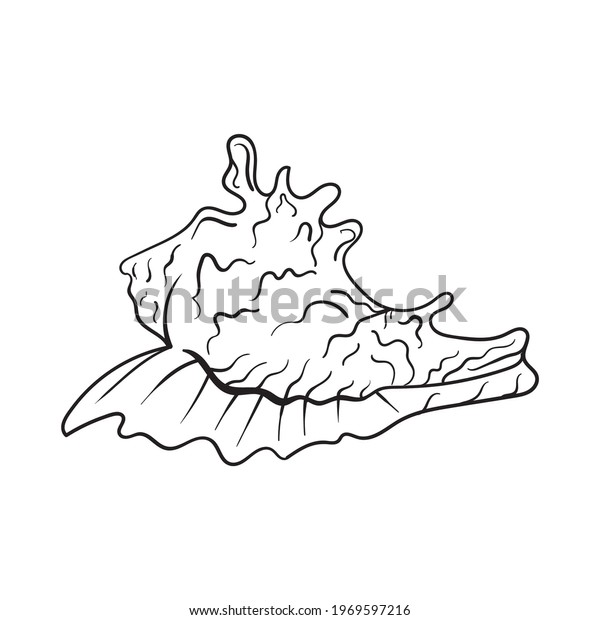 Sea Shell Pearl Line Art Summer Stock Vector (Royalty Free) 1969597216 ...