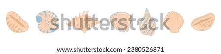 Animated Sea Shells | Free download on ClipArtMag
