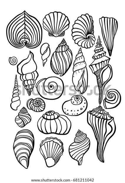 Sea Shells Outline Illustration Collection Isolated Stock Vector ...