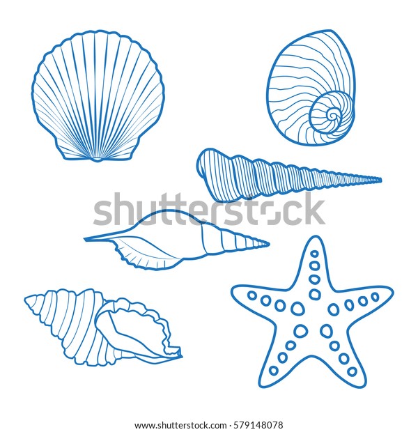 Sea Shells Starfish Blue Outline Drawing Stock Vector (Royalty Free ...