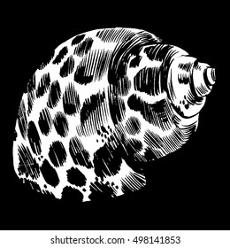 Sea Shells Vector Monochrome Illustration Texture Stock Vector (Royalty ...