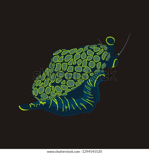 Sea Slug Illustration Stock Vector (Royalty Free) 1294545520 | Shutterstock