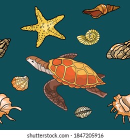 Sea Turtle Shells Starfish Spiral Vector Stock Vector (Royalty Free ...