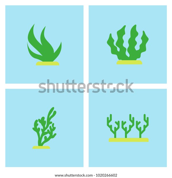 Seabed Vector Stock Collection Stock Vector (Royalty Free) 1020266602 ...