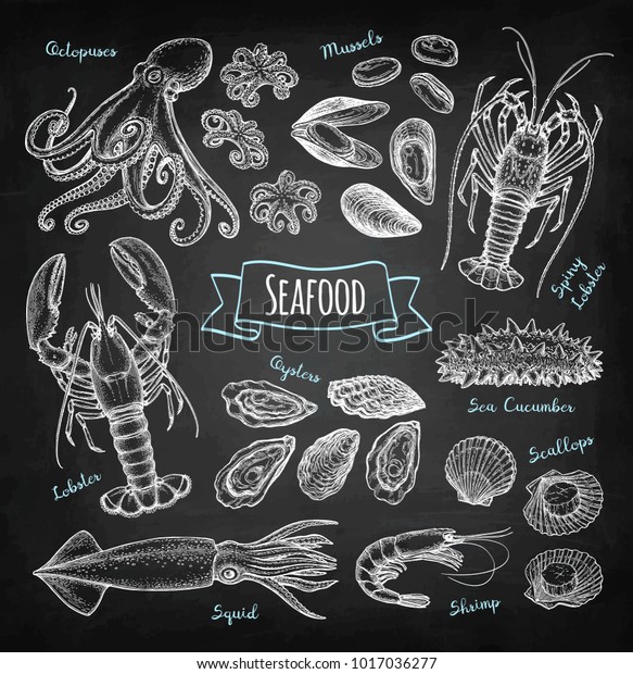 Seafood Big Set Chalk Sketch On Stock Vector (Royalty Free) 1017036277 ...