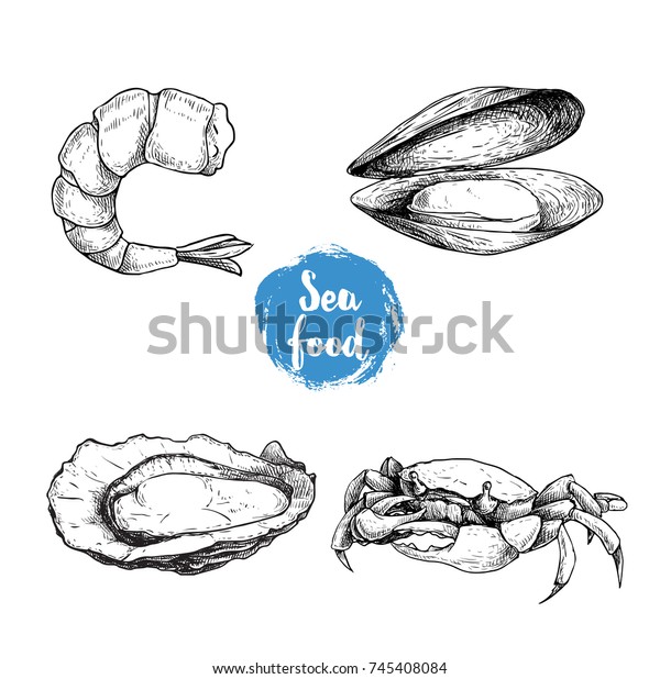 Seafood Sketches Set Cooked Grilled Shrimp stockvector (rechtenvrij ...