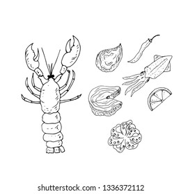 Seafoodcoloring Vector Illustration Stock Vector (Royalty Free ...