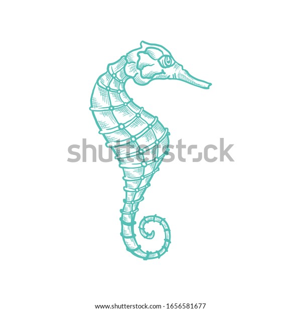 Seahorse Vector Sketch Thin Line Art Stock Vector (Royalty Free ...