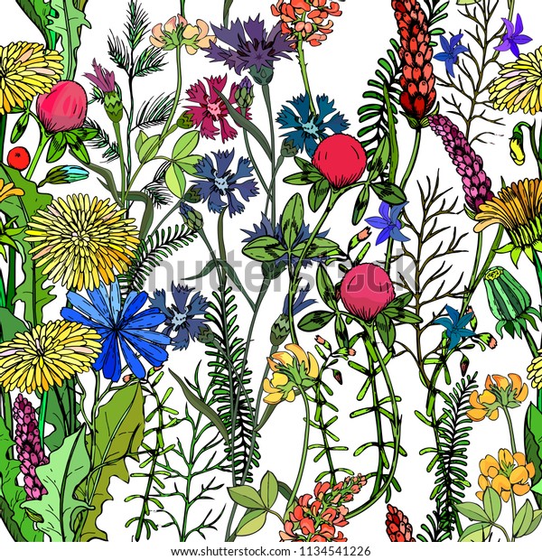 Seamless Background Wildflowers Vector Illustration Stock Vector ...
