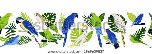 Vektor Stok Seamless Border Frame Tropical Parrots Collection (Tanpa ...