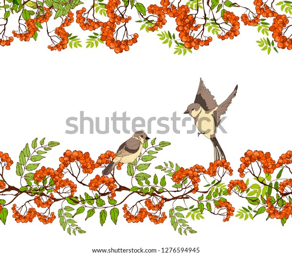 Seamless Border Rowan Birds Hand Drawing Stock Vector (Royalty Free ...