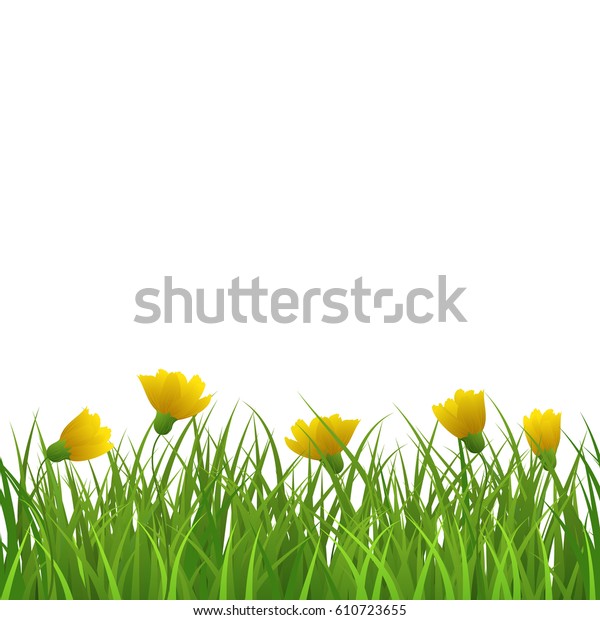 Seamless Borders Grass Yellow Flowers Vector Stock Vector Royalty Free