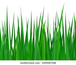 Seamless Vector Border Green Grass Isolated Stock Vector (Royalty Free ...