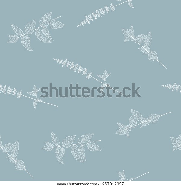 Seamless Hand Drawn Texture Herbs Peppermint Stock Vector (Royalty Free ...
