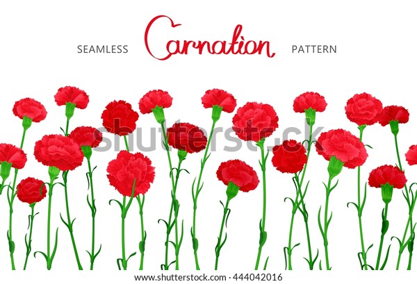 Seamless Horizontal Border Carnation Flowers Buds Stock Vector (Royalty ...