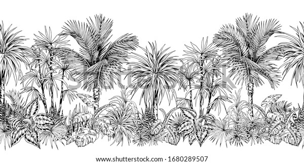 Seamless horizontal border with sketchy palm trees and tropical foliage ...
