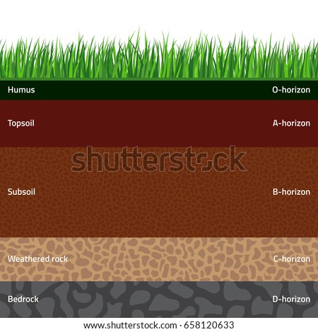Soil Clipart | Free download on ClipArtMag