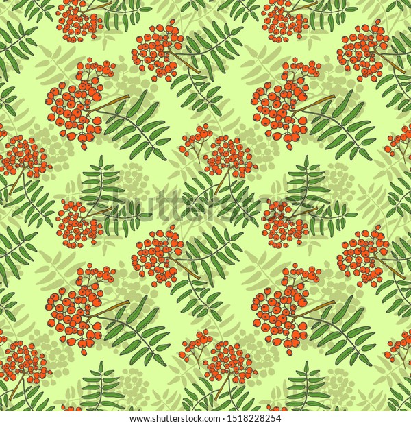 Seamless Pattern Berries Rowan Leavescontour Drawing Stock Vector ...