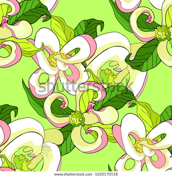 Seamless Pattern Florida Dogwood Flower Vector Stock Vector (Royalty ...