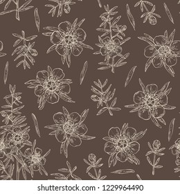 Seamless Pattern Manuka Leaves Flowers Manuka Stock Vector (Royalty ...
