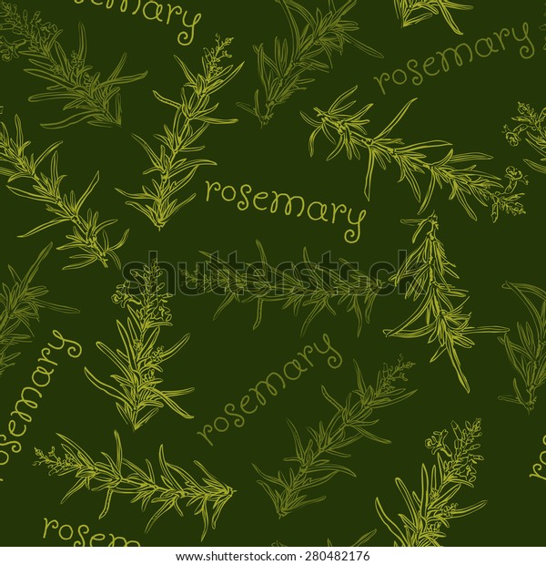 Seamless Pattern Rosemary Handdrawn Floral Background Stock Vector ...