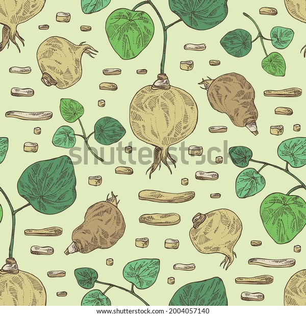 Seamless Pattern Stephania Glabra Stephanie Smooth Stock Vector ...