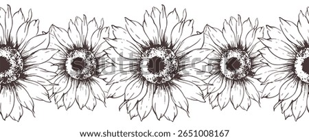 Sunflower Line Drawing | Free download on ClipArtMag