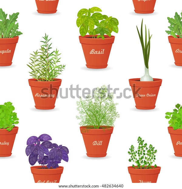 Seamless Texture Herbs Planted Pots Your 스톡 벡터(로열티 프리) 482634640