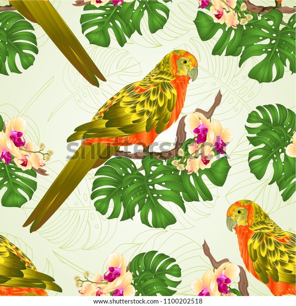 Seamless texture Sun Conure Parrot tropical exotic bird with beautiful ...