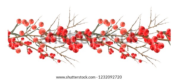 Seamless Vector Border Cranberry Berries All Stock Vector (Royalty Free ...