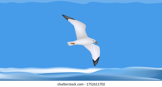 Seascape Seagull Closeup Surf Blue Background Stock Vector (Royalty ...