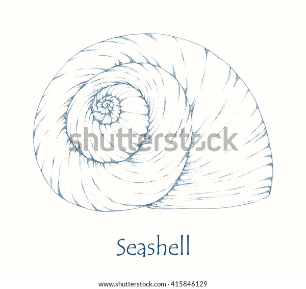 Seashell Engraving Style Ink Sea Shell Stock Vector (Royalty Free ...