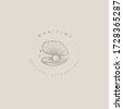 48+ Thousand Shell Line Drawing Royalty-Free Images, Stock Photos ...