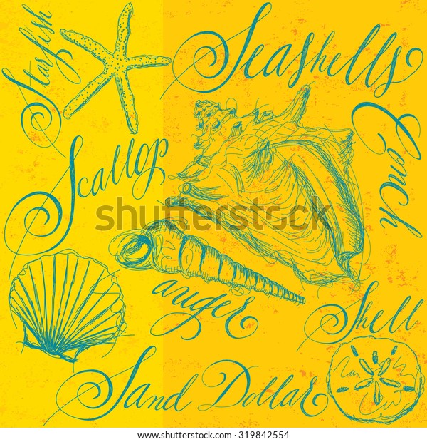 Seashells Calligraphy Sketchy Hand Drawn Seashells Stock Vector ...